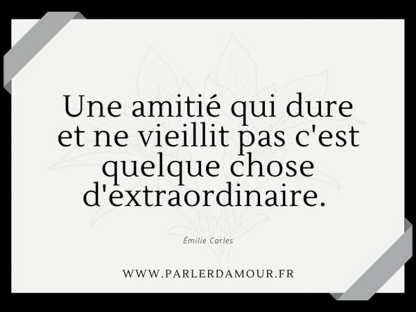 Citations amitié : 50 belles citations sur l'amitié - Parler d'Amour