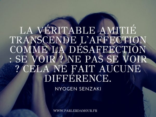 Citations amitié : 50 belles citations sur l'amitié - Parler d'Amour